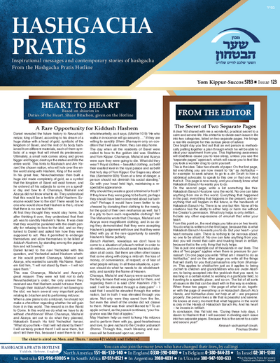 Weekly Torah Parsha Insights